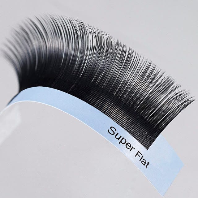 BL Super Flat Ellipse Lashes D Curl - Ultra Thin, Very Soft & Light - Discount Eyelashes