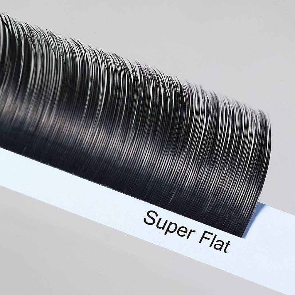 BL Super Flat Ellipse Lashes C Curl - Ultra Thin, Very Soft & Light for ...