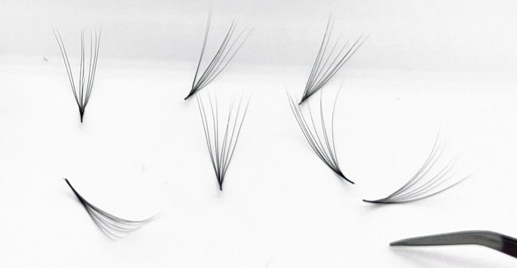 Alluring Loose 6D Premade Lash Fans 0.05mm C & D Curl - 500 Lash Fans ...